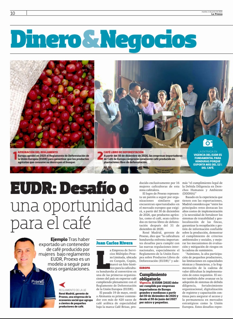 PAG 10-11. EUDR: DESAFÍO O UNA OPORTUNIDAD PARA EL CAFÉ